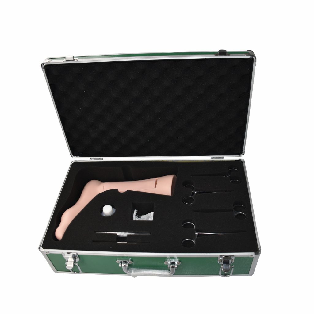 KIT PARA LAS PRÁCTICAS DE LAS INCISIONES DE VENA - Capital Científica